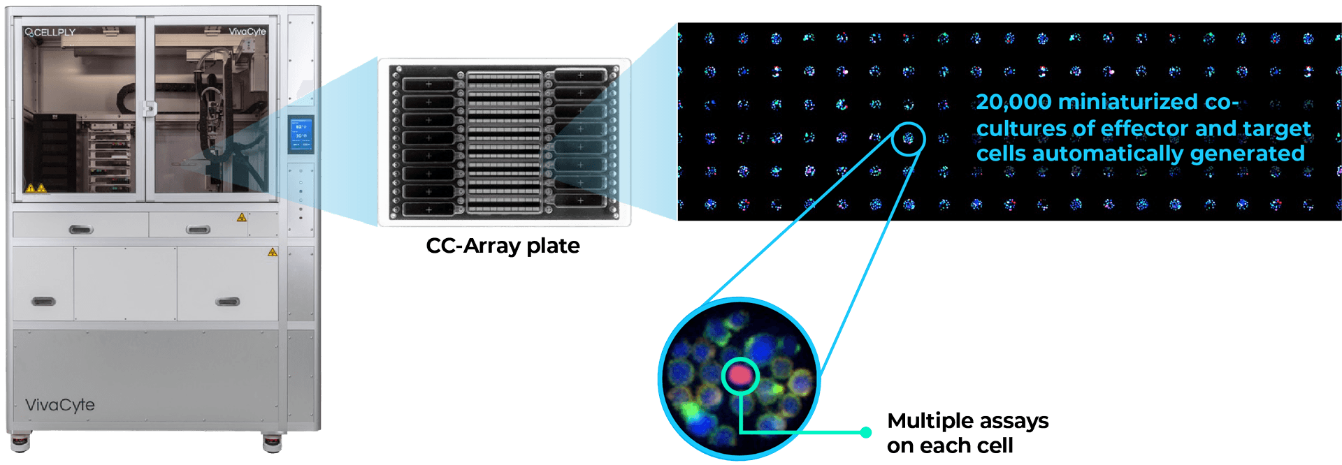 Technology | CELLPLY